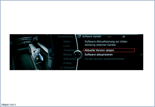 BMW Professional telematics